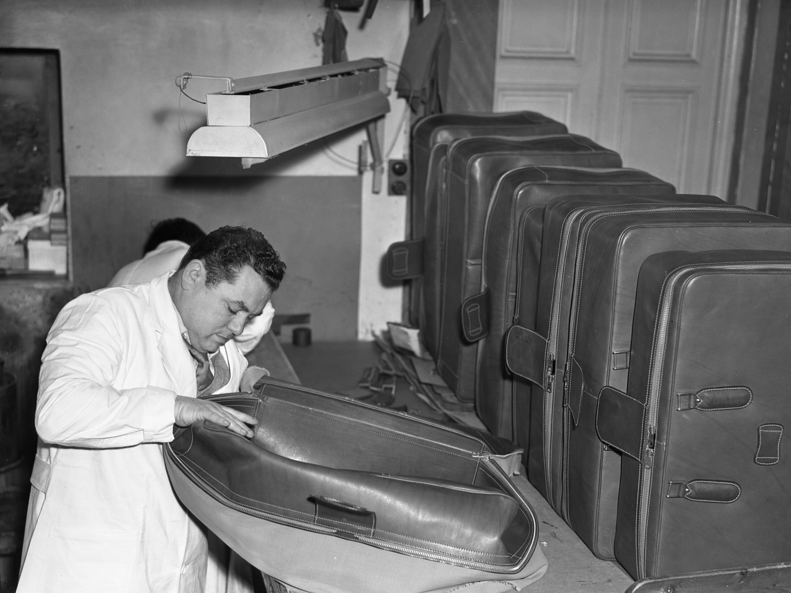 Gucci Cosmos: The Evolution of Fashion’s Enduring Legacy – Svasa Shop