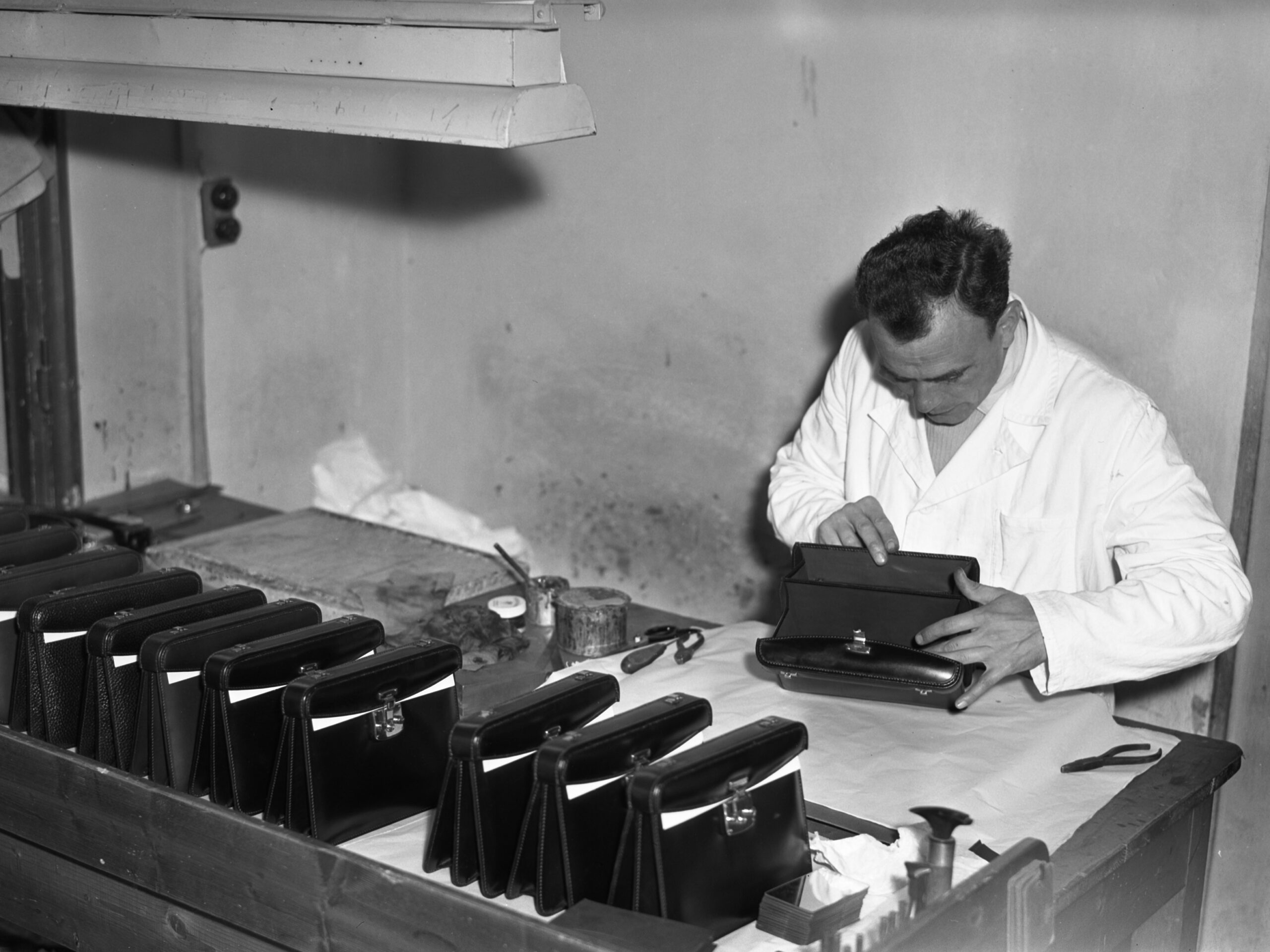 Gucci Cosmos: The Evolution of Fashion’s Enduring Legacy – Svasa Shop